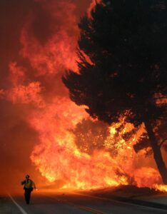 MYSAFE:LA - MySafe:LA